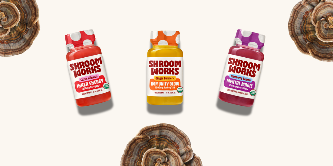 Mushroom Wellness Shots & Extracts | shroomworks | United States