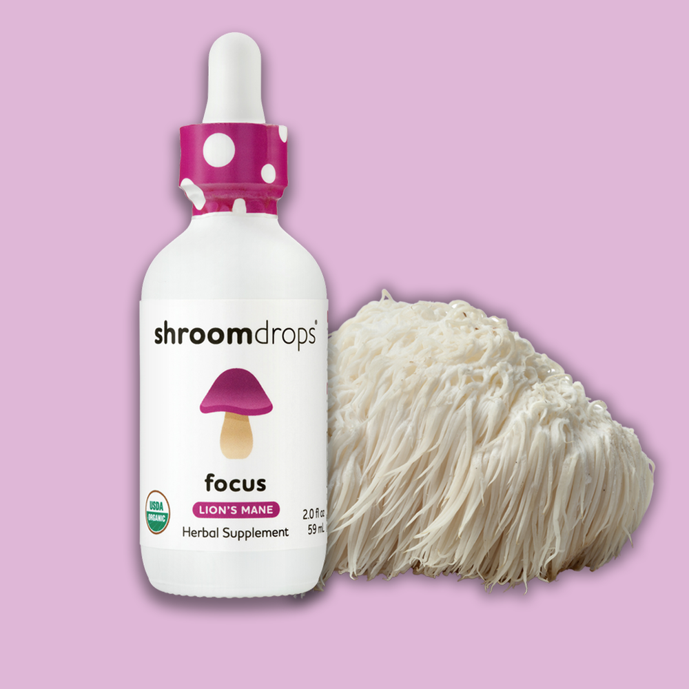 Mushroom Wellness Shots & Extracts | shroomworks | United States